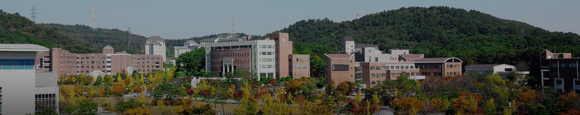 호원대학교 K-미래인재대학 대학소개